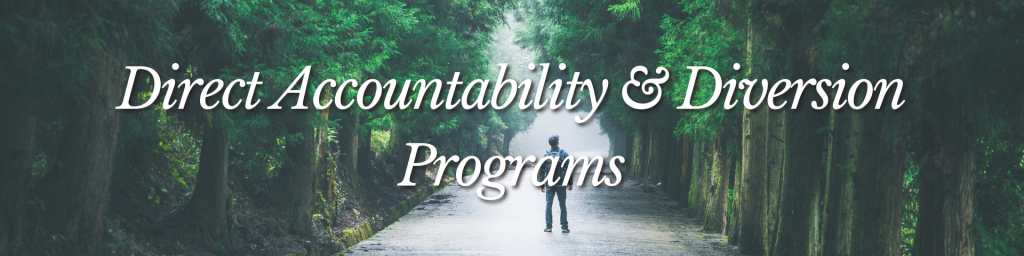 Direct Accountability & Diversion Programs | St. Leonard's Community ...